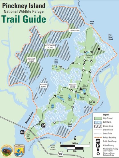 Pinckney Island National Wildlife Refuge - 4 Things to Do Hilton Head ...